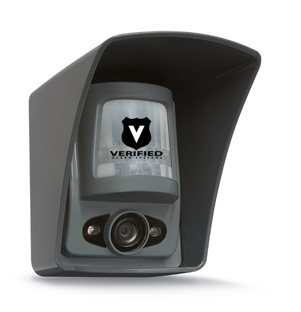 outdoor_video_motion_detector - SEQ security camera systems ...